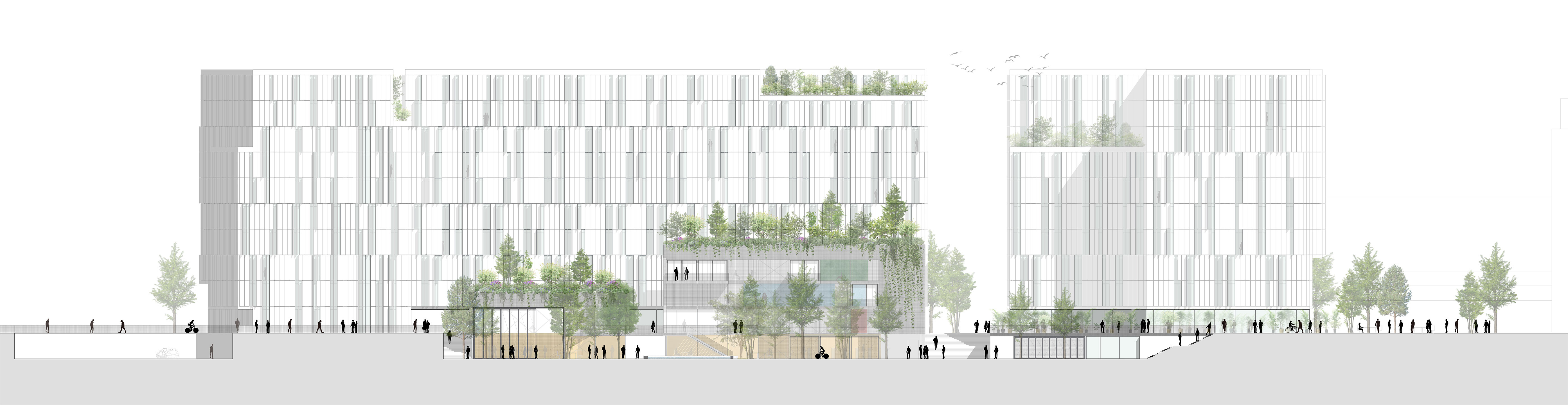 Bürogebäude Muthgasse – Riegler Riewe Architekten